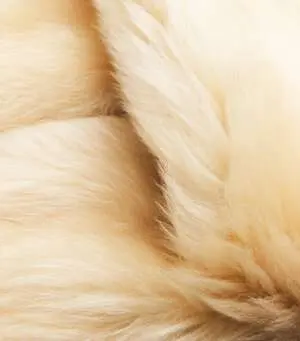 CHAROUX Shearling Calin Coat