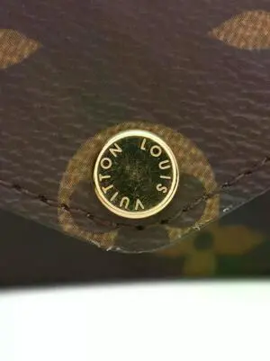 LOUIS VUITTON 2020 Félicie Monogram Shoulder Bag - Brown