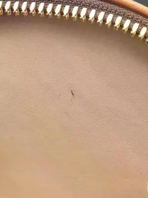 LOUIS VUITTON 2019 Mini Boite Chapeau Mini Bag