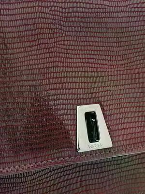 Akris Lizard-effect Wallet On Chain