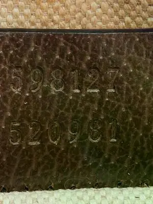 Gucci Ophidia Gg Supreme Messenger Bag