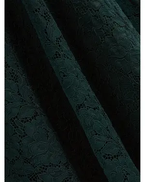 HOBBS LONDON Ashdown Lace Midi Dress