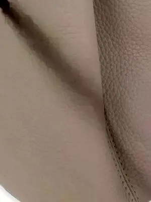 LOUIS VUITTON Mm Capucines Tote Bag - Neutrals