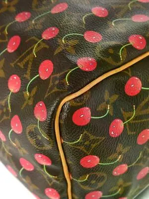 LOUIS VUITTON 25 Speedy Monogram Cherry Tote Bag