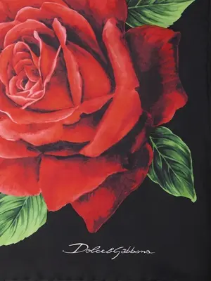 Dolce & Gabbana Dolce Gabbana Rose Print Silk Scarf