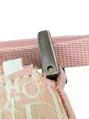 Dior Trotter Tote Bag