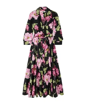 Diane Von Furstenberg Printed Dress