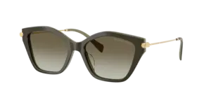 Michael Kors Sunglass Catskills Olive Gradient