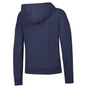 Champion Boston Red Sox Vintage Powerblend Hoodie