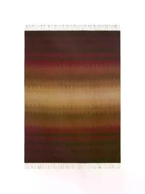 Missoni Anemone Chevron-knit Throw - Brown
