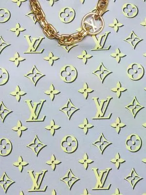LOUIS VUITTON Monogram-pattern Hooded T-shirt