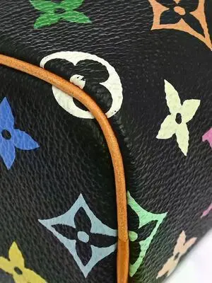 LOUIS VUITTON Mini Speedy Tote Bag