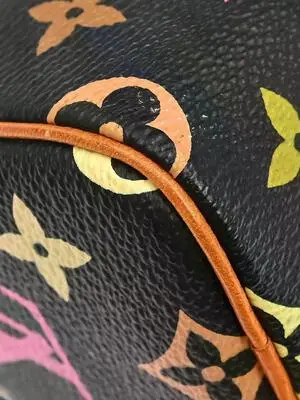LOUIS VUITTON Mini Speedy Tote Bag