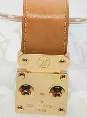 LOUIS VUITTON 2019 Box Scott Monogram Clutch Bag