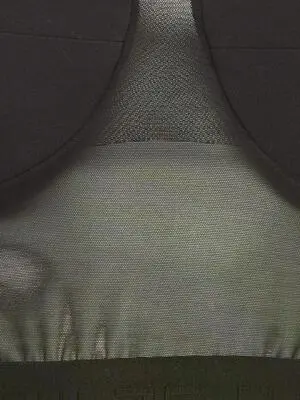 Elisabetta Franchi Mesh Bustier Top