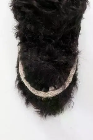Mou Eskimo 24 Crochet-trim Ankle Boots