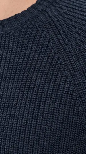 Madewell Fisherman Raglan Crew Sweater