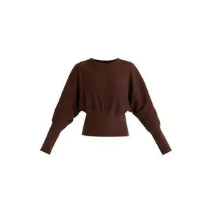 PAISIE Ribbed Batwing Sleeve Knit Top With Fitted Waist - Brown