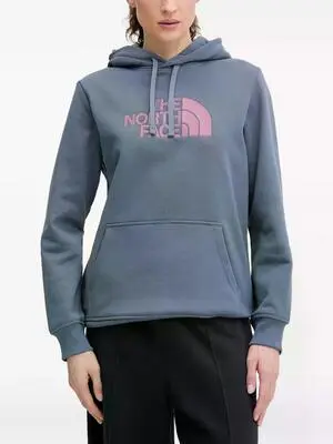 The North Face Drew Peak Hoodie - Blue