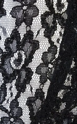 SERGIO HUDSON Hand-embroidered Lace Midi Dress