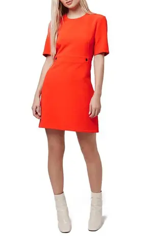 Topshop Short Sleeve Shift Dress