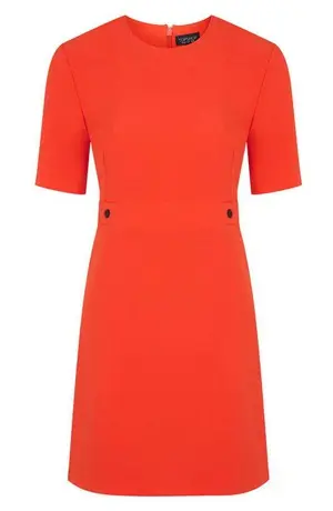 Topshop Short Sleeve Shift Dress