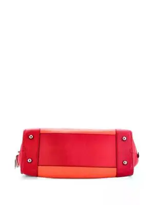 Loewe Amazona Nm Bag Leather 36 Satchel