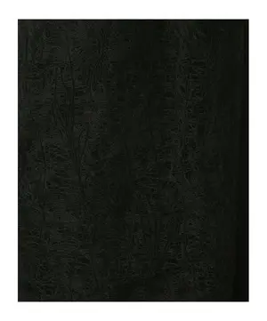 Fabiana Filippi Lace A-line Midi Skirt