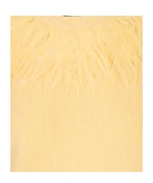 Fabiana Filippi Feather-trimmed Knit Sweater