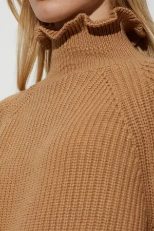 Max Mara Wool Turtleneck ‘pontile