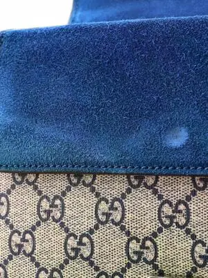 Gucci Dionysus Bag Blooms Print Gg Coated Canvas Mini Shoulder Bag
