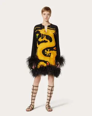 Valentino Garavani Dragon-print Feather-trim Silk Dress