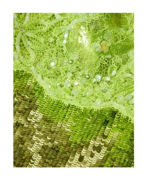 Valentino Garavani Embroidery Lace Long-sleeved Dress