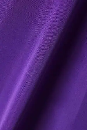 Valentino Garavani Breast-wiped Dress