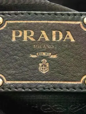 Prada 2010-2026 Vitello Daino Satchel