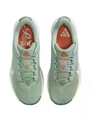 Nike Pegasus Trail-running Low-top Sneakers