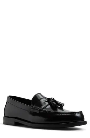 Aldo Cairo Tassel Leather Loafer - Black