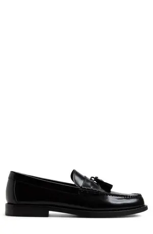 Aldo Cairo Tassel Leather Loafer