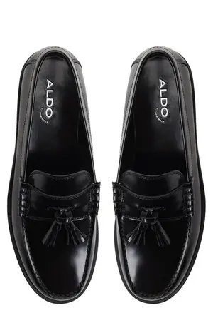 Aldo Cairo Tassel Leather Loafer