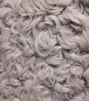 Source Unknown Shearling Lyn Coat