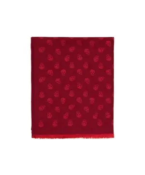 Alexander McQueen Double-sided Skull Pattern Scarf