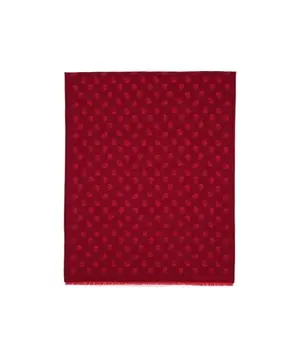 Alexander McQueen Double-sided Skull Pattern Scarf