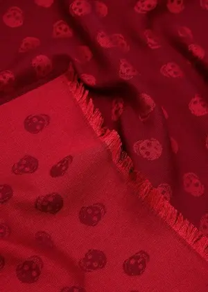Alexander McQueen Double-sided Skull Pattern Scarf