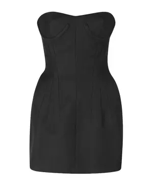 Elisabetta Franchi Bustier Mini Dress