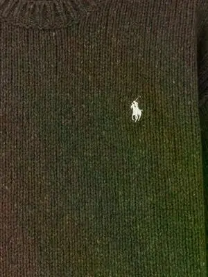 Polo Ralph Lauren Polo Pony Sweater