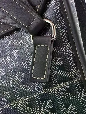 Goyard Coursier Messenger Bag Coated Canvas And Leather Crossbody Bag