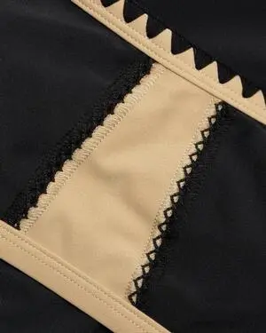 Ramy Brook Leanna Embroidered Colorblocked Bikini Top - Black Colo