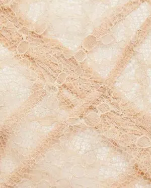 Kiki De Montparnasse Mon Cheri Sheer Lace Bodysuit - Blush