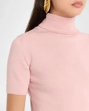 Oscar De La Renta Turtleneck Short-sleeve Wool Sweater