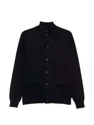 FILIPPO DE LAURENTIIS Button-up High-neck Sweater - Blue